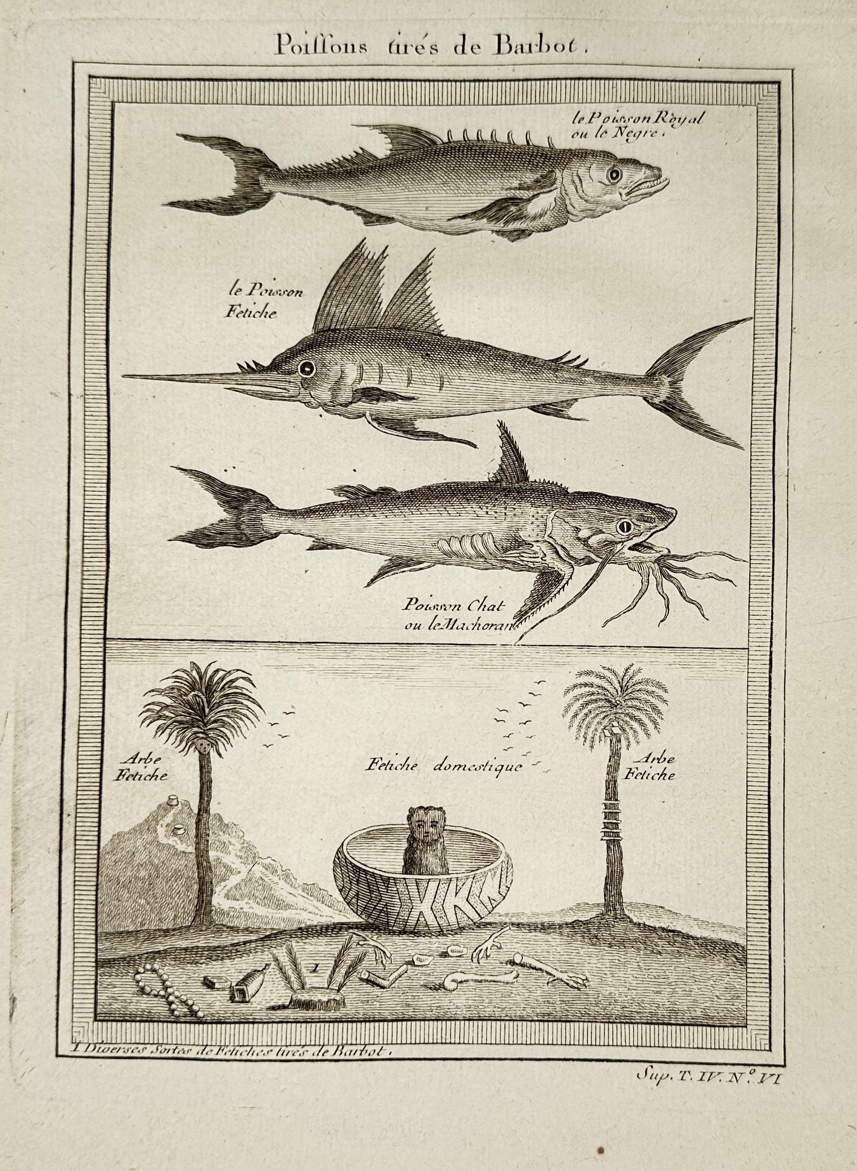 Pierre Quentin Chedel (1705–1762) - Sawfish, Swordfish, | Auktion